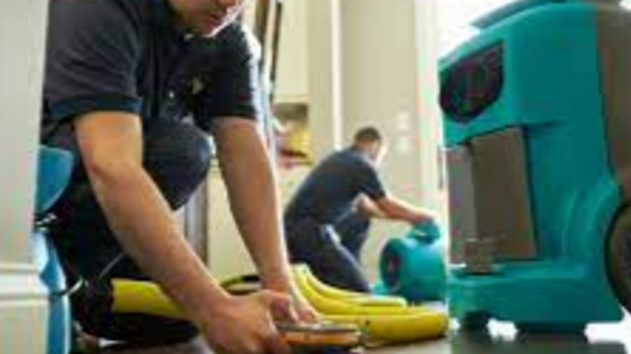 Water Mitigation Lead Technician duties